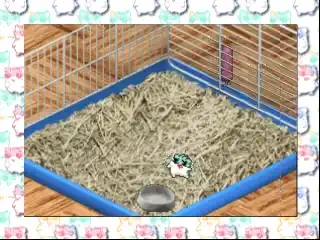 Play Hamster Monogatari 64 (Japan) Nintendo 64 Game Free Online Browser ...