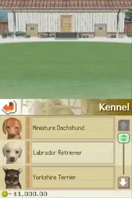 Play Nintendogs - Best Friends (USA) Retro Game Free Online Browser